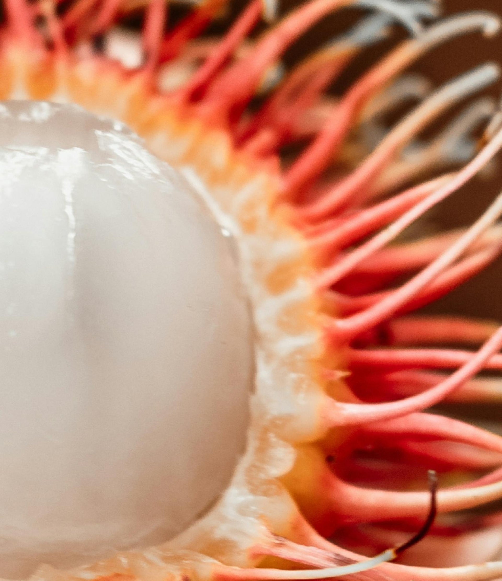 Pre-Wash | Hairstory